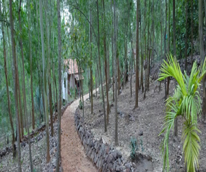 Sublime Tours: Odisha Travel Agency, Odisha Village Tourism, Tribal ...