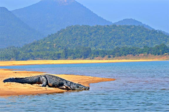 Sublime Tours: Odisha Travel Agency, Odisha Village Tourism, Tribal ...